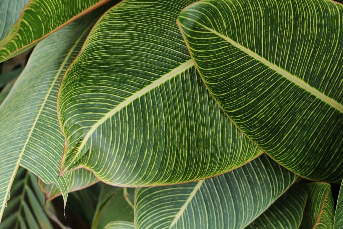 6 of the Best Sustainable Swimwear Brands
